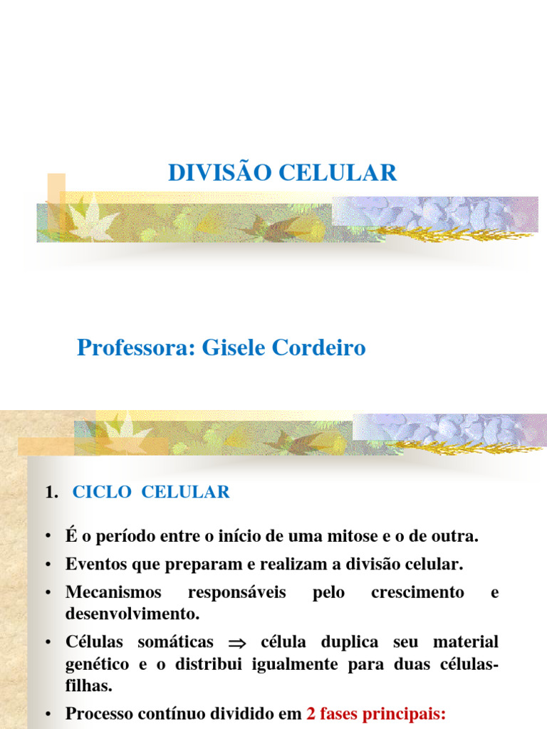 Ciclo Celular E Divisão Celular Pdf Meiose Mitose