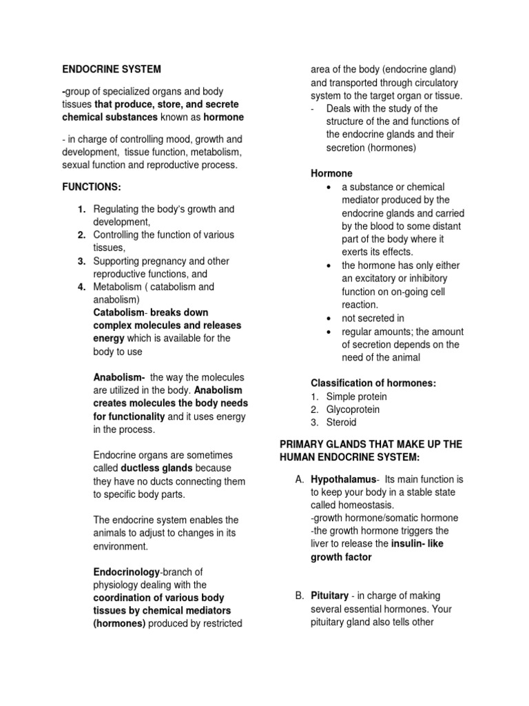 Endocrine System | PDF | Endocrine System | Hormone