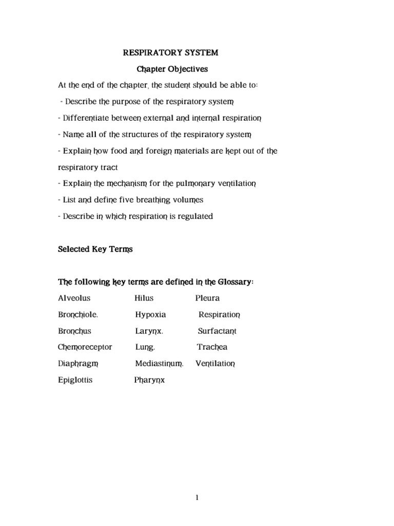 Respiratory System Pre | PDF | Lung | Respiratory System
