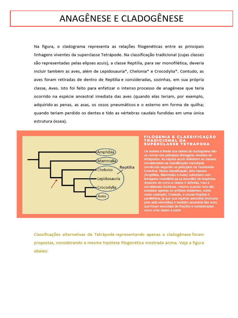 Apostila - Evolução Anagenese e Cladogenese | PDF | Taxa | Biologia