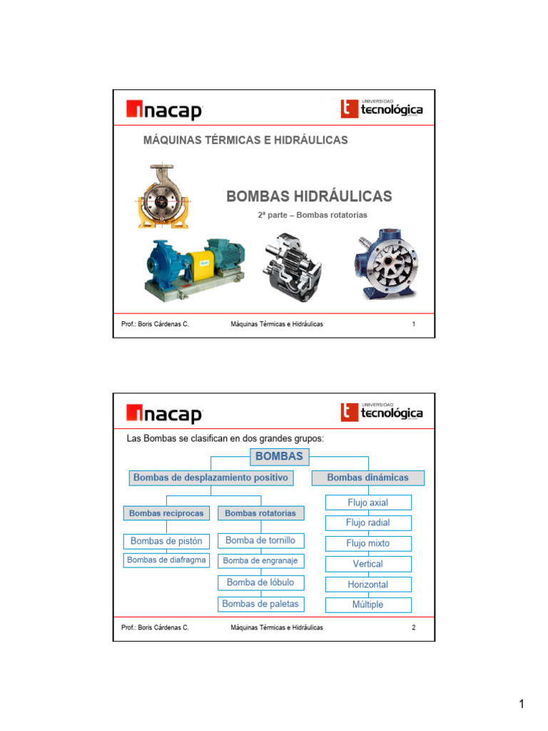 Bombas Rotatorias: Tipos y Aplicaciones | PDF | Engranaje | Bomba