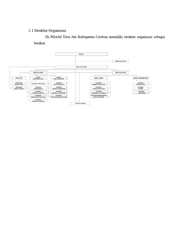 Struktur Organisasi Pdam | PDF