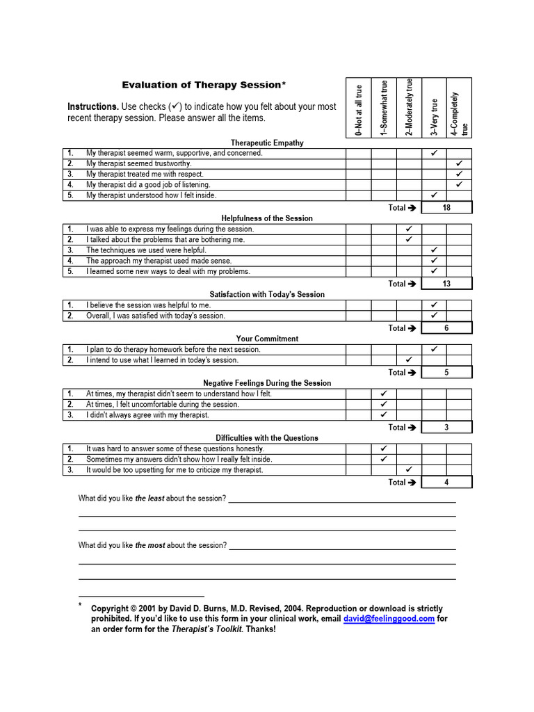 Evaluation of Therapy Session V 1 For Article | PDF | Therapy | Psychotherapy