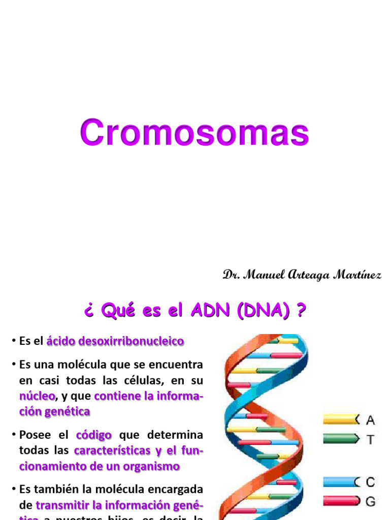 Cromosomas | PDF | Adn | Rna