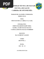 Función del músculo corrugador superciliar | PDF