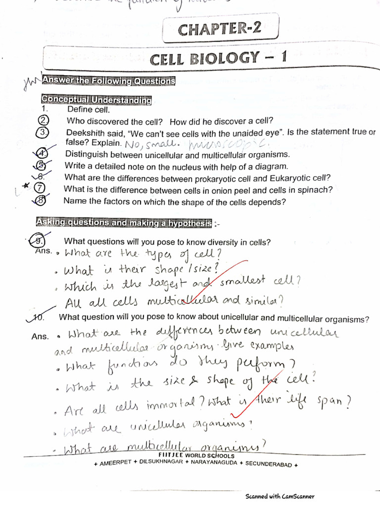 Cell Biology Class 8 WB | PDF