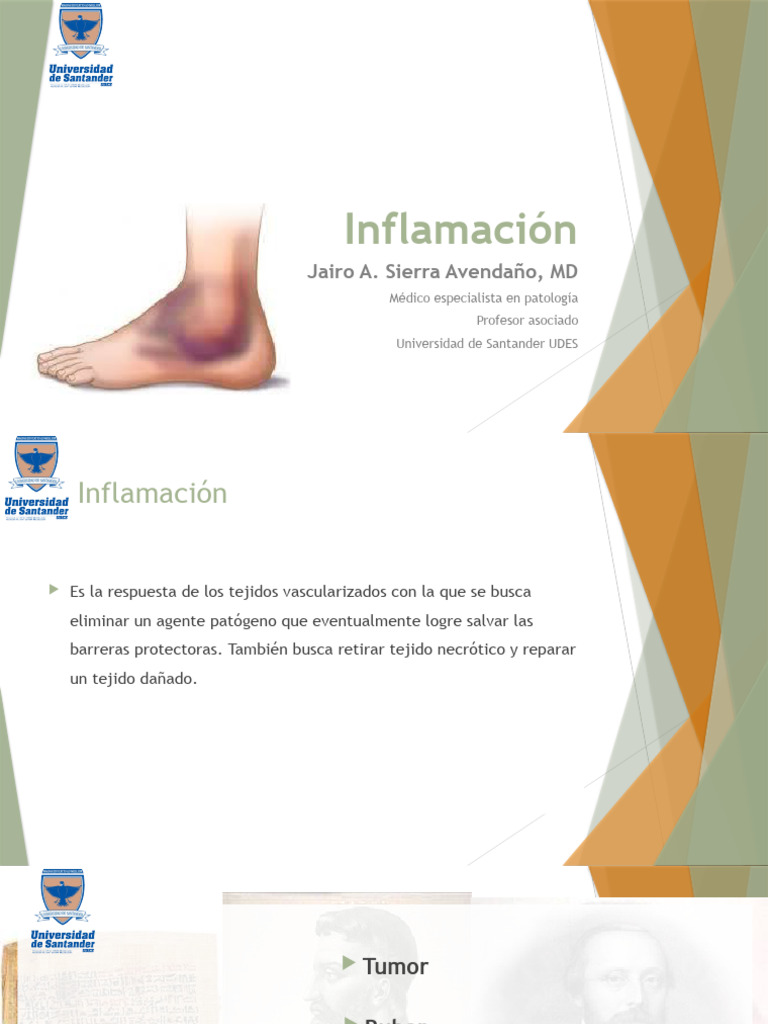 Fases y Tipos de Inflamación | PDF