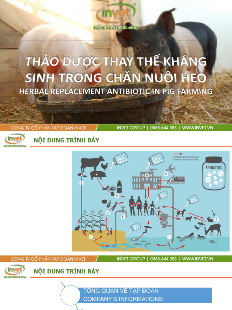 INVET Presentation | PDF