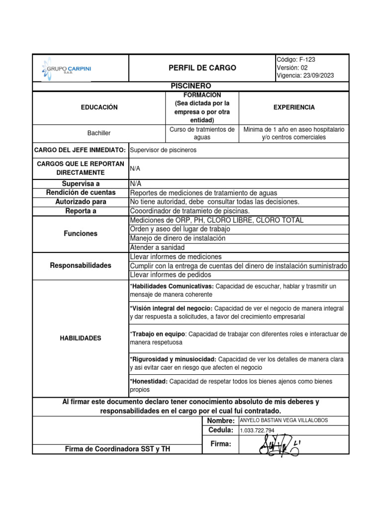 F-123 PERFIL DE CARGO - Sign | PDF