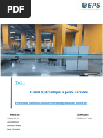 TP MDF N°1 - Viscosité | PDF | Fluide | Viscosité