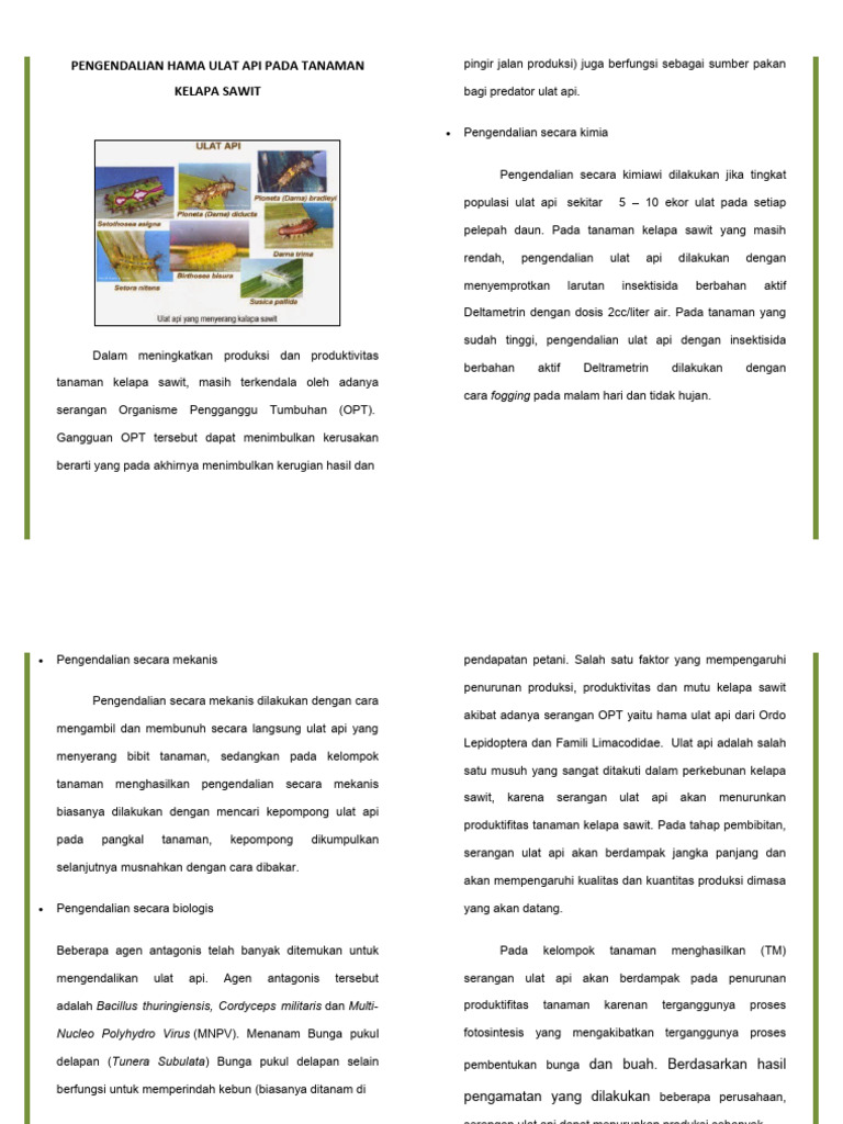 Print Pengendalian Hama Ulat Api Pada Tanaman Kelapa Sawit | PDF Print Pengendalian Hama Ulat Api Pada Tanaman Kelapa Sawit | PDF