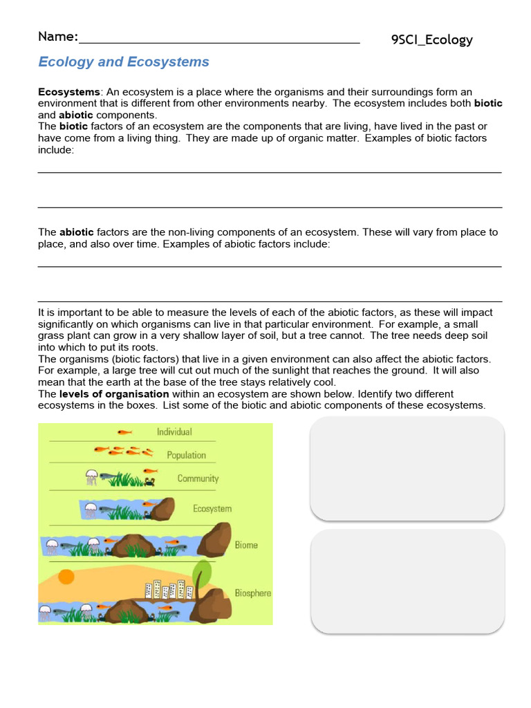 Understanding Ecosystems and Biomes | PDF | Ecosystem | Food Web