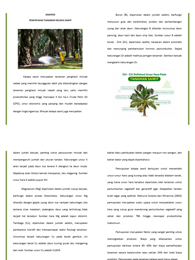 Print Pemupukan Tanaman Kelapa Sawit | PDF