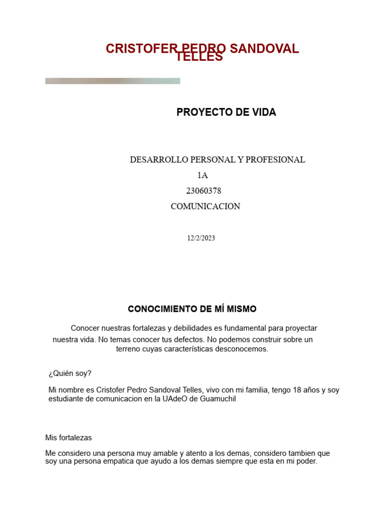 Formato de Proyecto de Vida | PDF | Mente | Las emociones