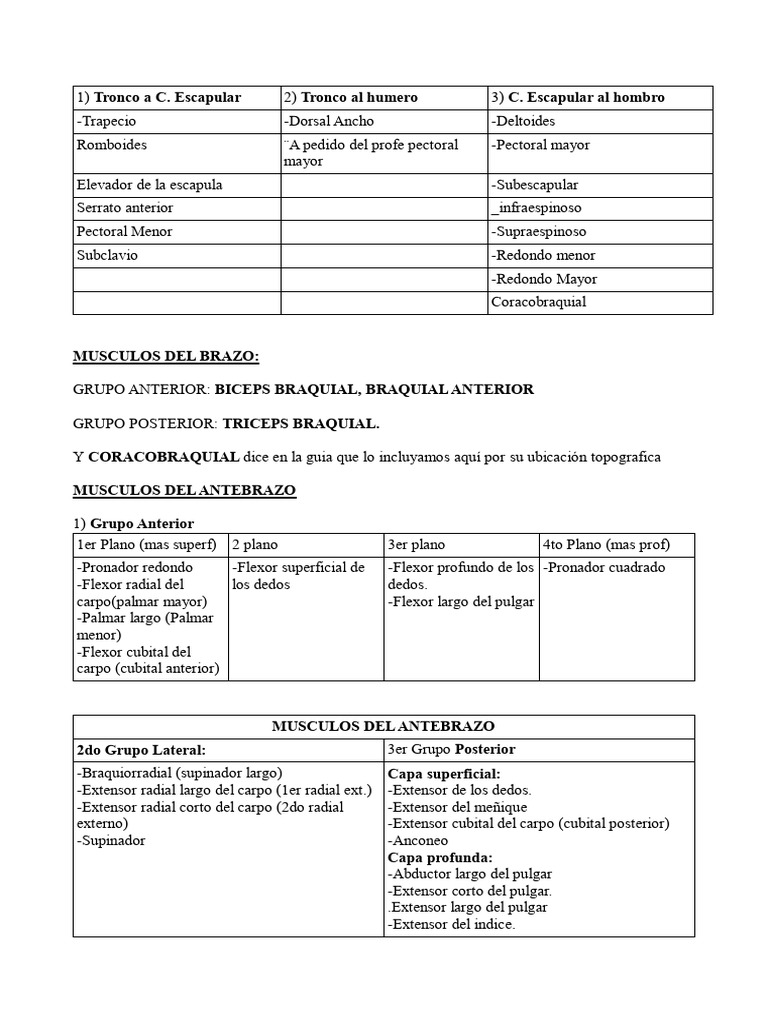 CUADRO Basico de Musculos Por Regiones (Sacado de Videos) | PDF ...