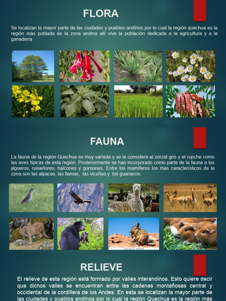 Diapos 1 | PDF | Viajes y turismo
