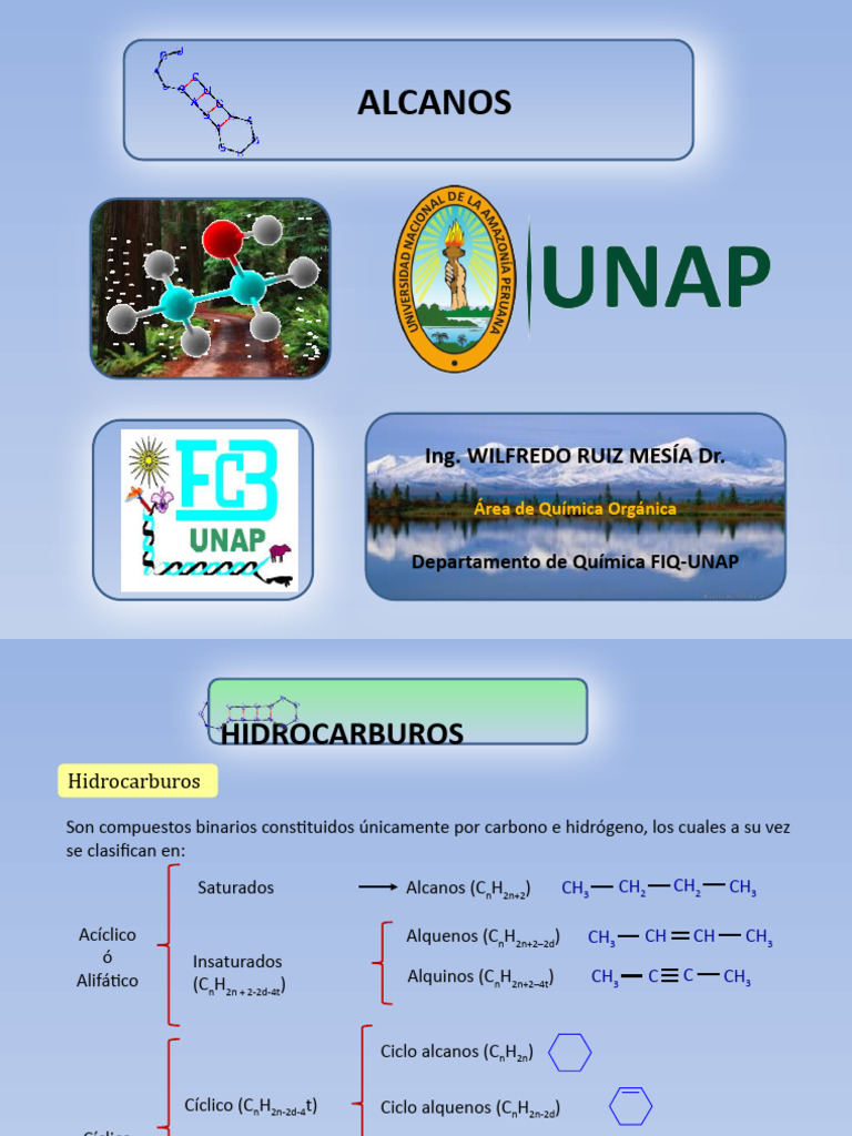 Nomenclatura y propiedades de alcanos | PDF | Alcano | Hidrocarburos