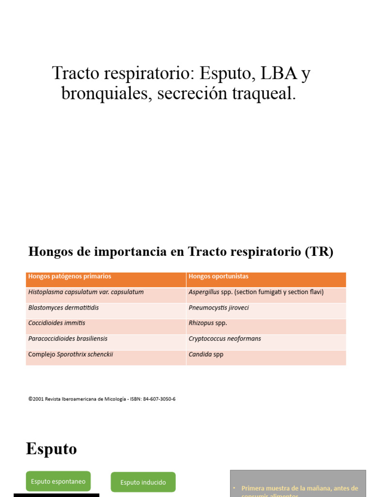 Presentación - Tracto respiratorio Esputo, LBA y bronquiales, secreción ...