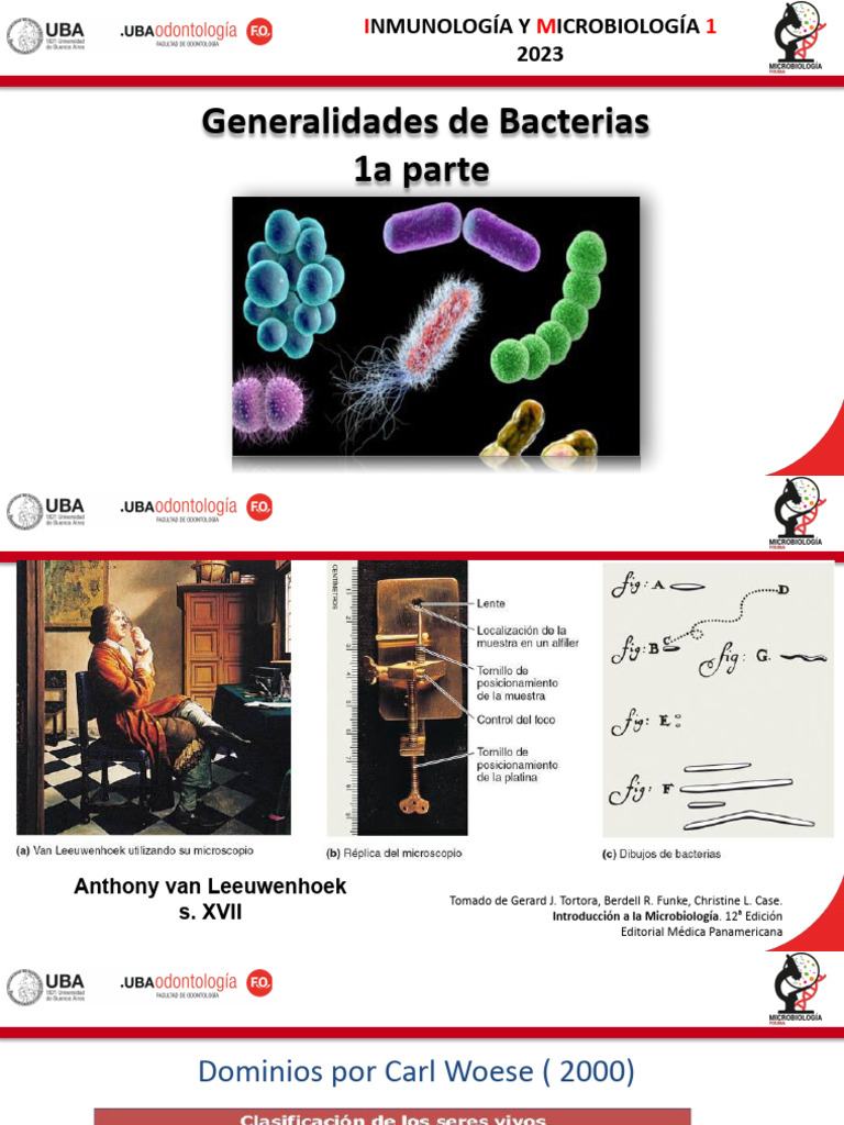 Clase Generalidades de BACTERIAS - 1a Parte | PDF | Las bacterias | Biología Celular)