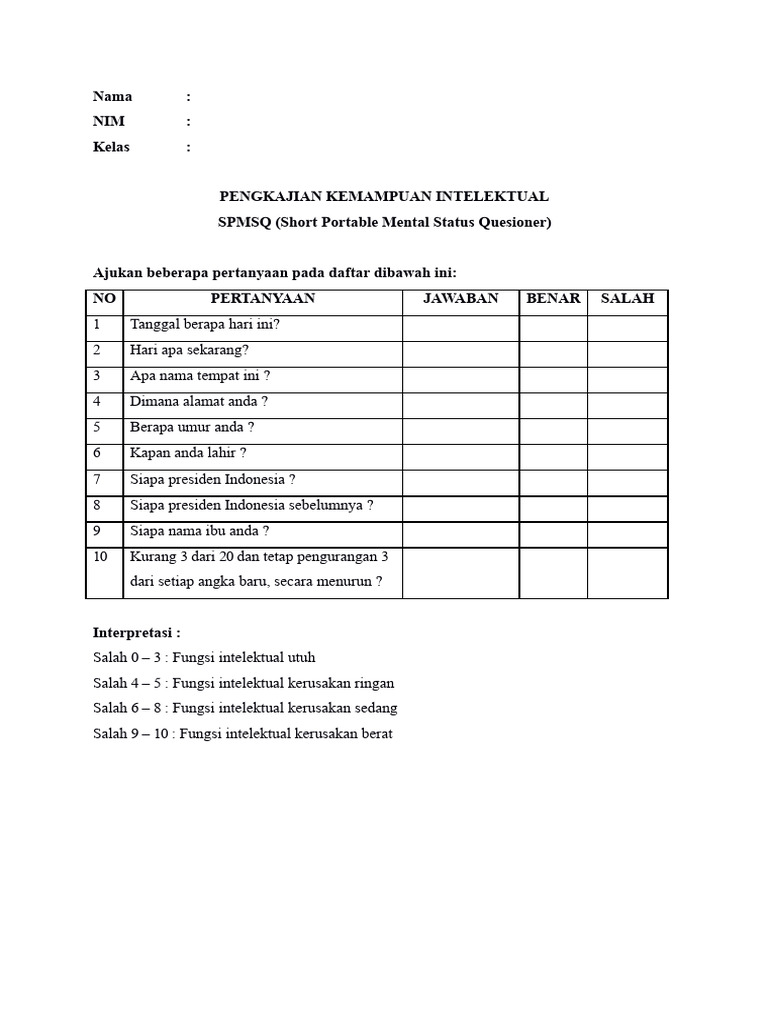 SPMSQ Dan MMSE | PDF