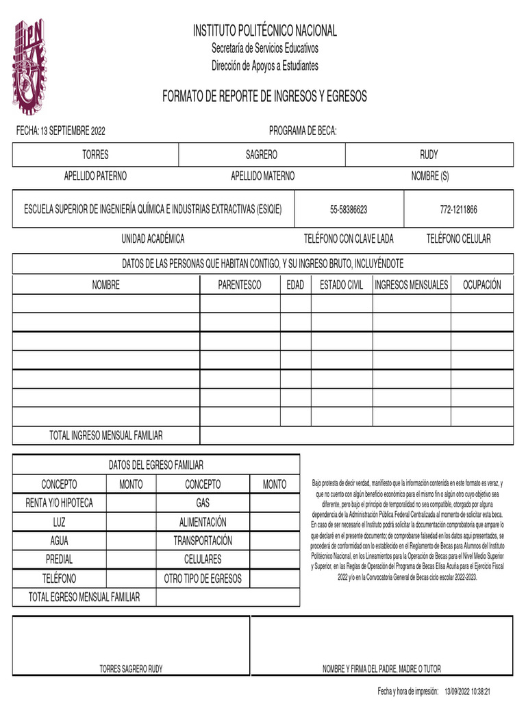 Reporte Ingresos Egresos | PDF