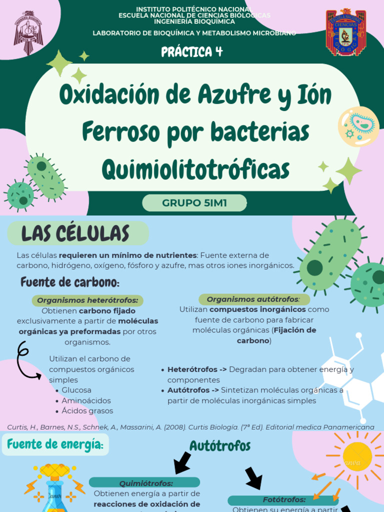 Práctica No.5. Oxidación de Fierro y Azufre Por Bacterias ...