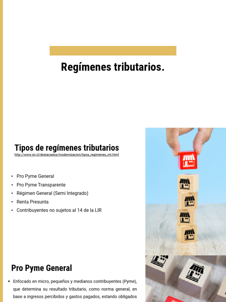 Regímenes Tributarios | PDF | Impuestos | Pequeñas y medianas empresas