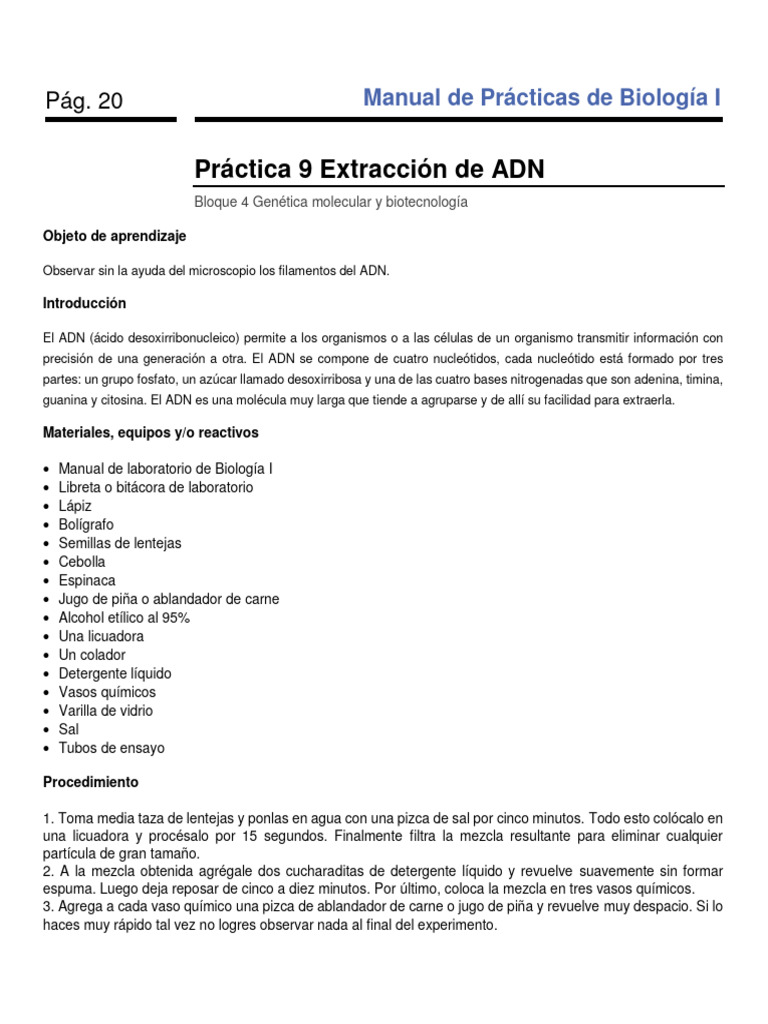 Practica BIOLOGIA I | PDF | Adn | Nucleótidos