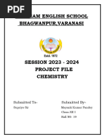 Chemistry Project Front Page Design | PDF
