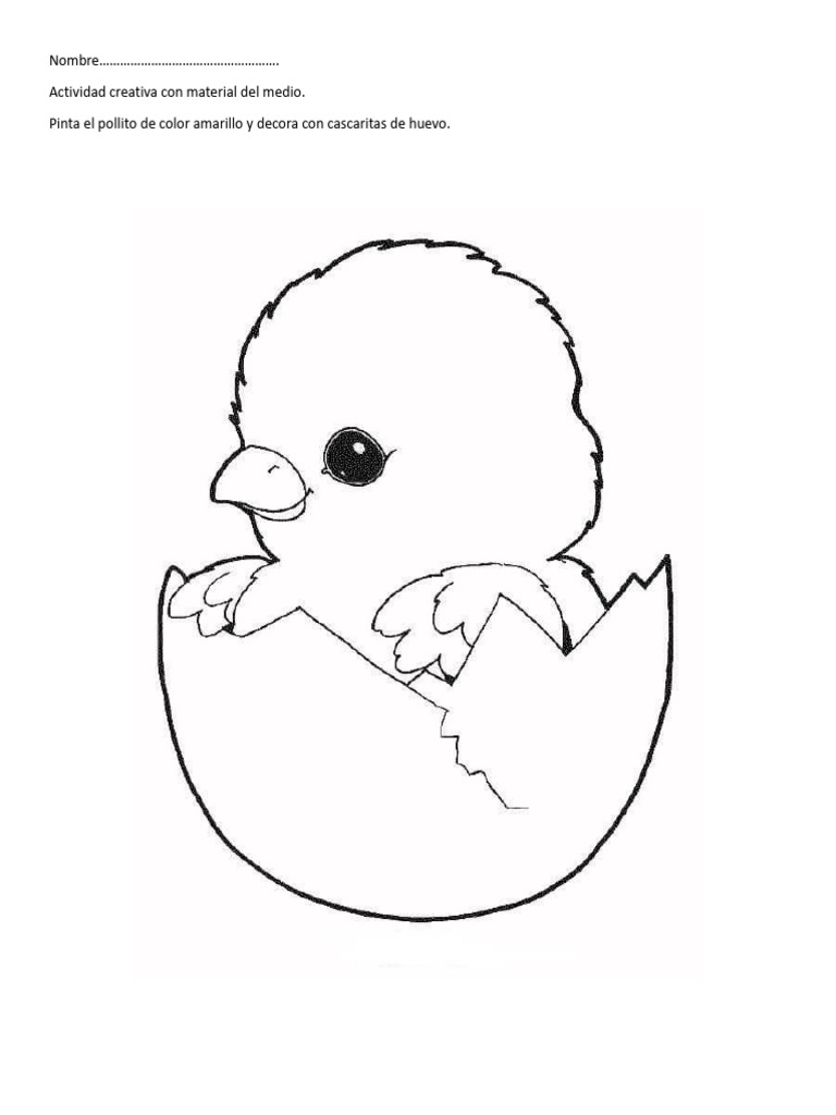 Pollito para Pintar | PDF | Hogar, jardinería y bricolaje