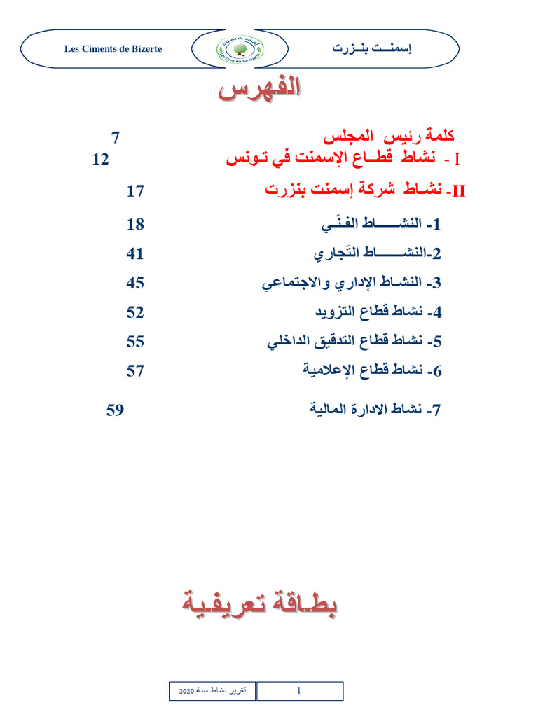 Rapport Les Ciments de Bizerte 2020 | PDF