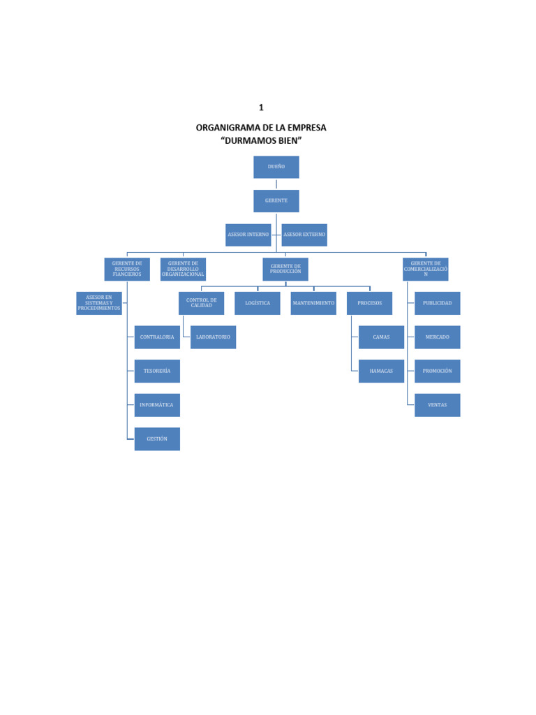 Organigrama Solución | PDF | Business | Contabilidad