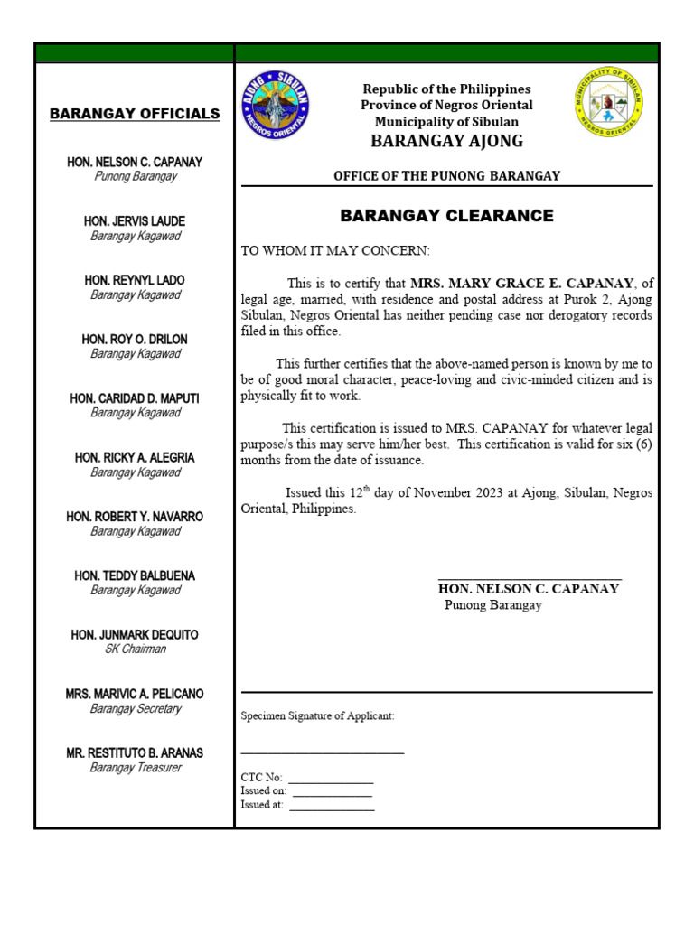 Brgy - Clearance | PDF