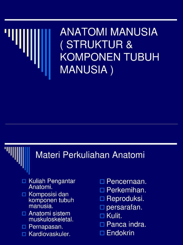 Struktur Manusia | PDF