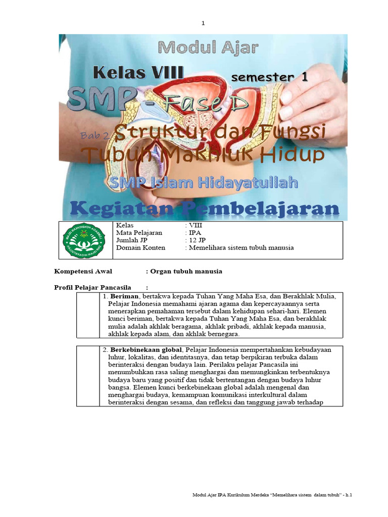 5 Modul Ajar Memelihara Sistem Tubuh Manusia | PDF