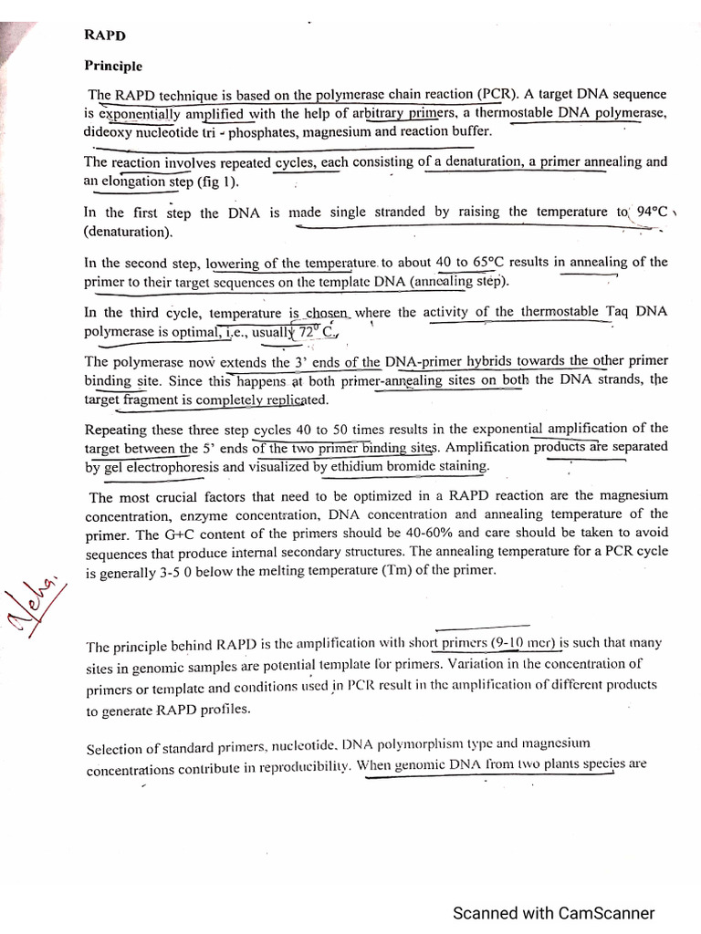 Molecular Markers (RAPD) | PDF