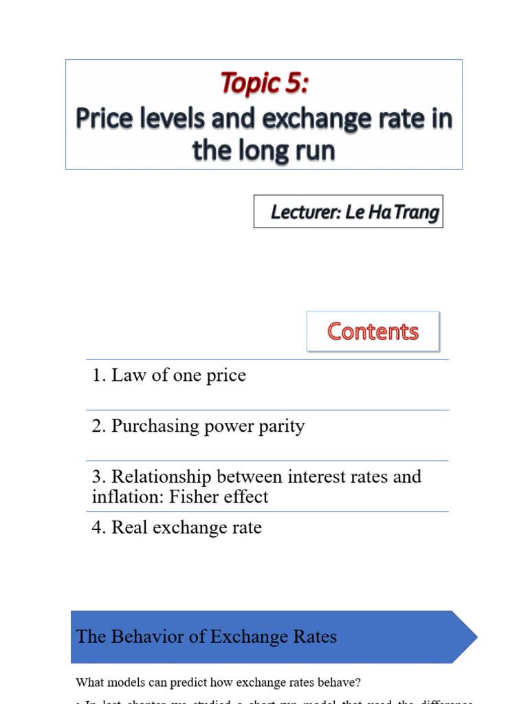 Topic 5. Price Level PPP | PDF | Purchasing Power Parity | Exchange Rate
