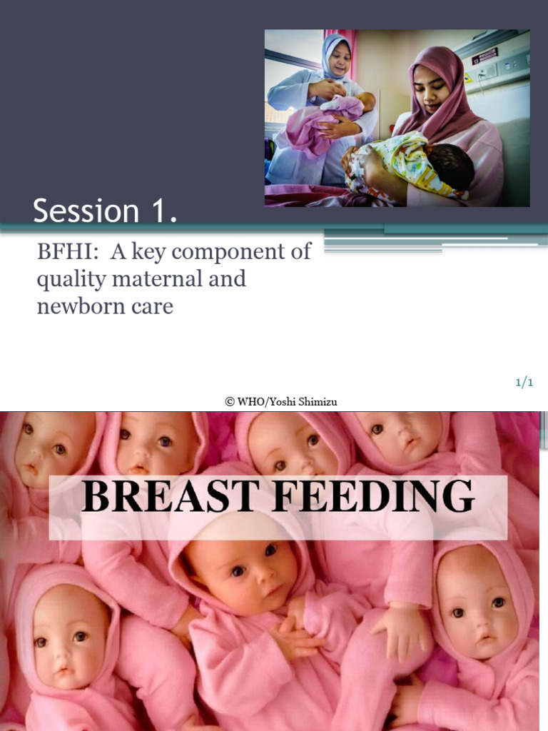 bfhi-session-1-BFHI A Ley Component of Quality Maternal and Newborn Care | PDF | Breastfeeding ...