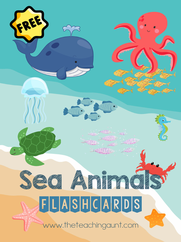 Sea Animals A4 | PDF