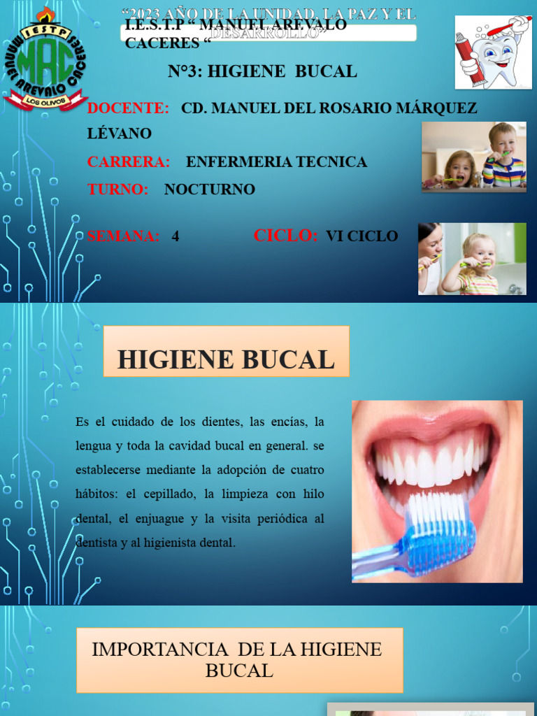 CLASE 04 Higiene Dental | PDF
