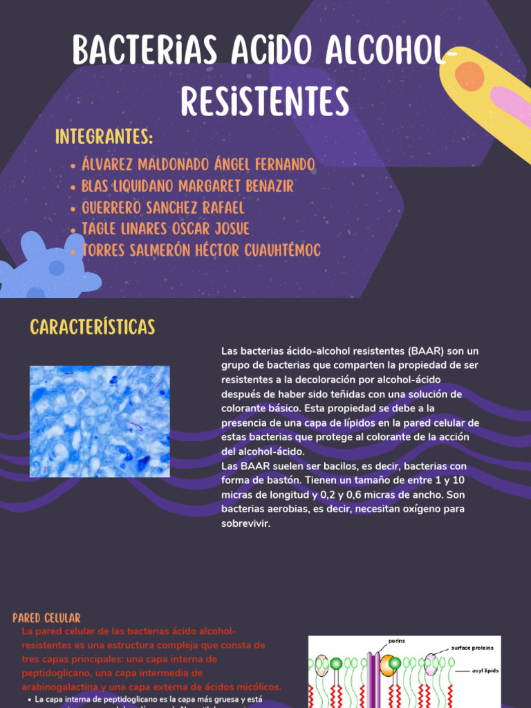 Bacterias Ácido-Alcohol Resistentes: BAAR | PDF | Tuberculosis ...