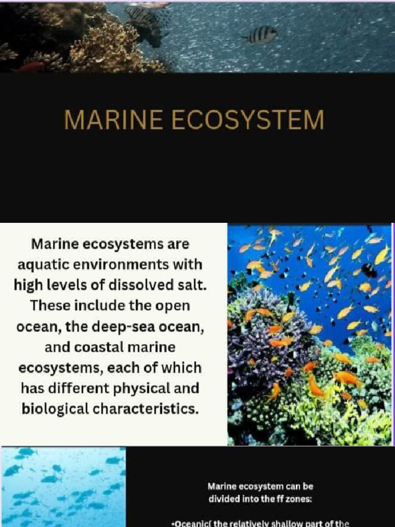 Marine Ecosystem | PDF