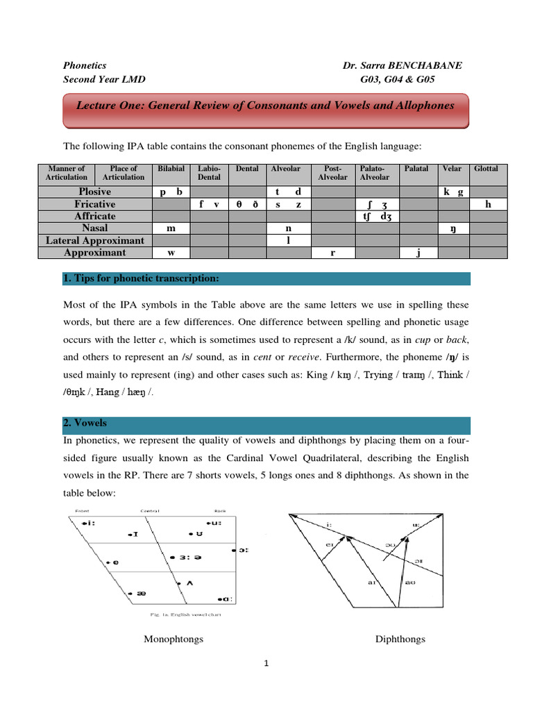 English Phonetics: Consonants & Vowels | PDF | Syllable | Consonant