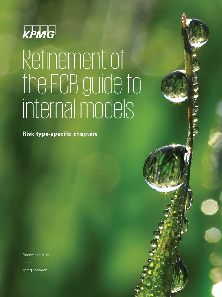 Refinement of The Ecb Guide To Internal Models | PDF | European Central Bank | Credit Risk