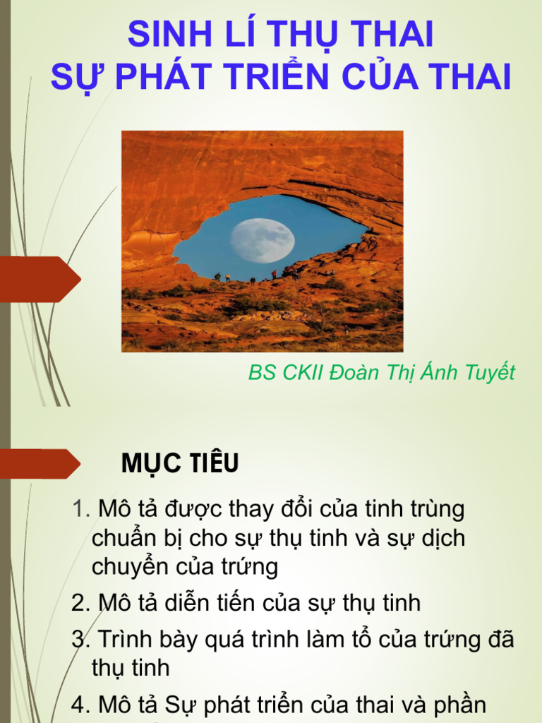 SLIDE 2 SINH LÍ THỤ THAI SỰ PHÁT TRIỂN CỦA THAI | PDF