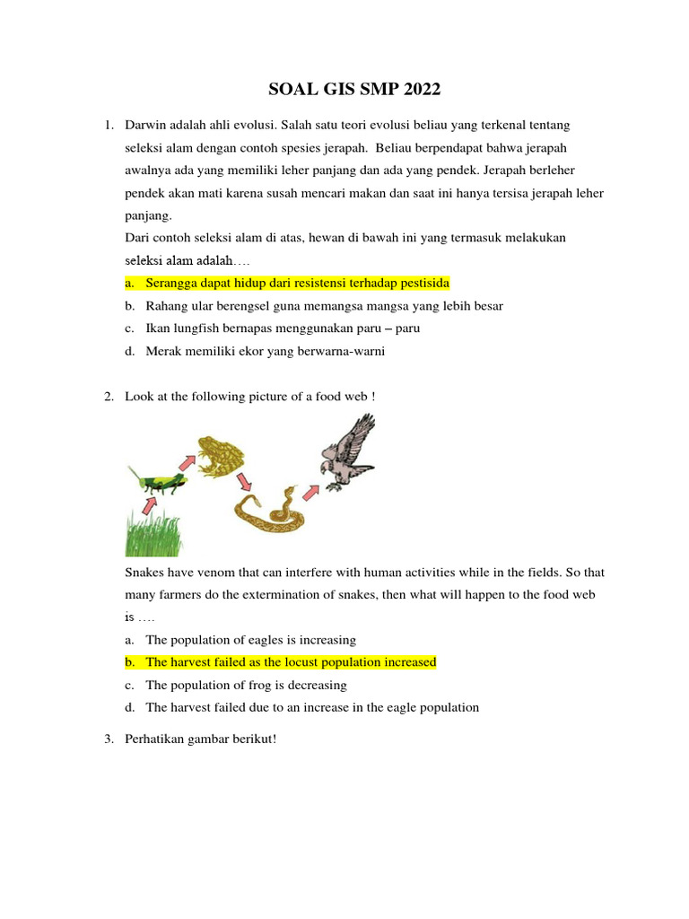 Soal Penyisihan Gis SMP 2022 | PDF | Leaf | Botany