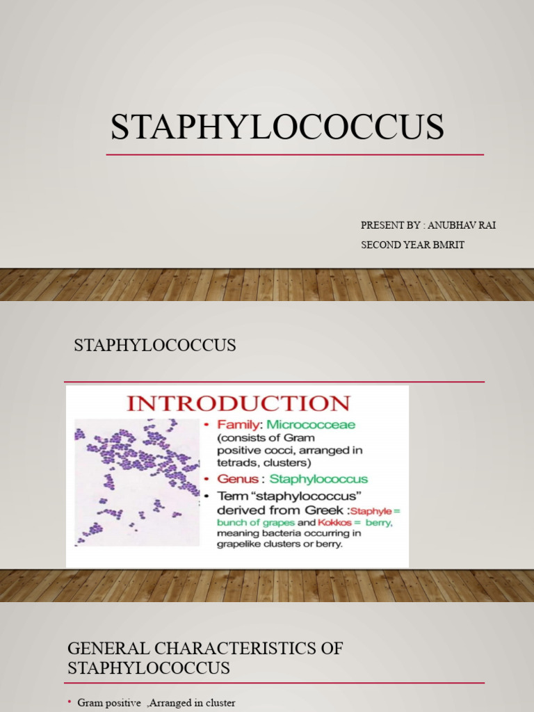 Anubhav Rai Staphylococcus | PDF | Methicillin Resistant Staphylococcus Aureus | Staphylococcus