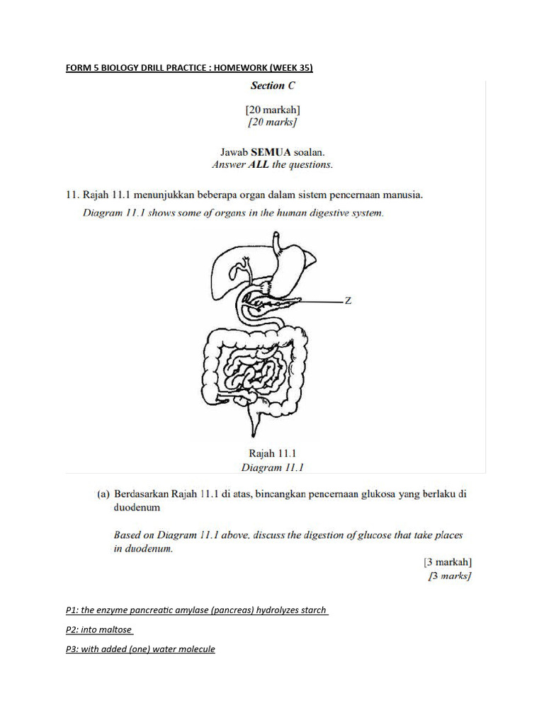 FORM 5 BIOLOGY DRILL PRACTICE (Answer) | PDF