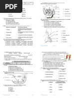 Respiration 1AC - ELALAOUI | PDF | Branchie | Respiration