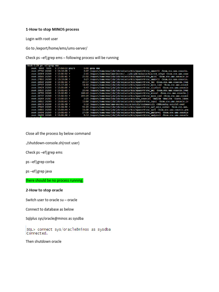 Minos - Process and Oracle - Start - Doc | PDF | Computers